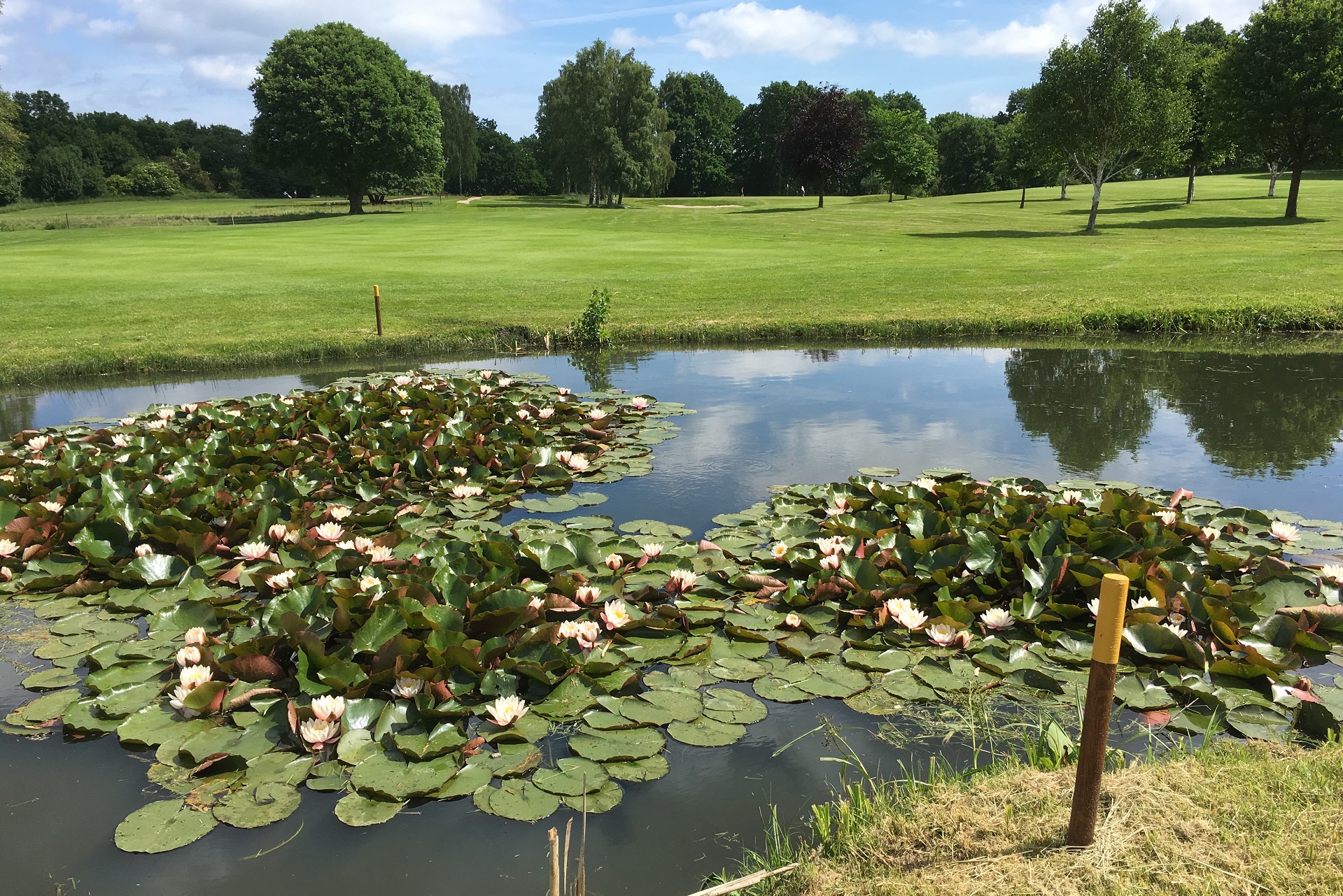 Rungsted Golf Klub