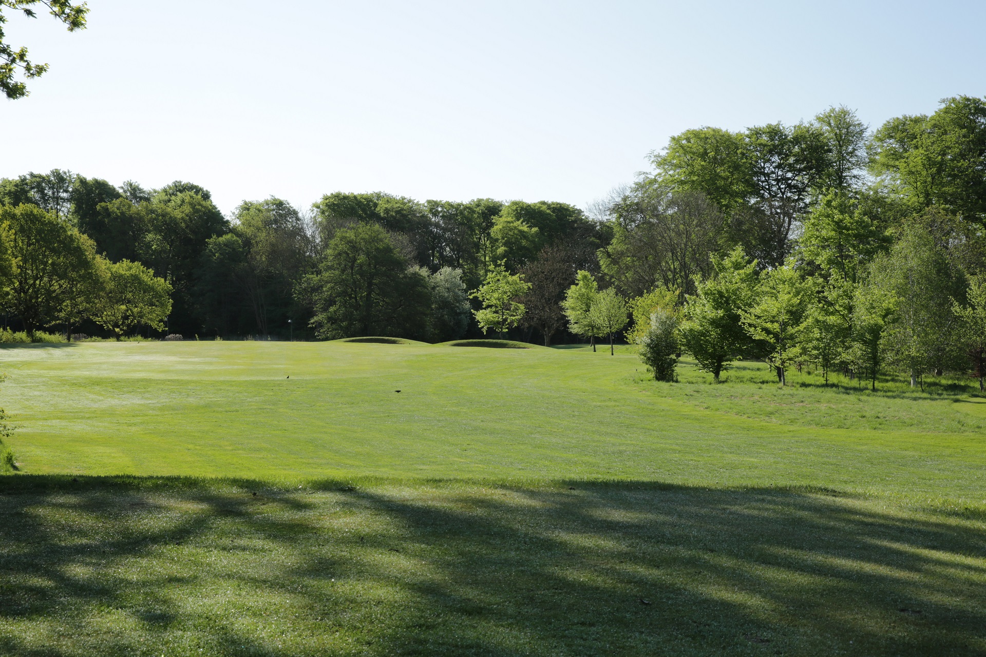 Rungsted Golf Klub